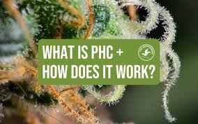 What is PHC Weed? | bigwritehook