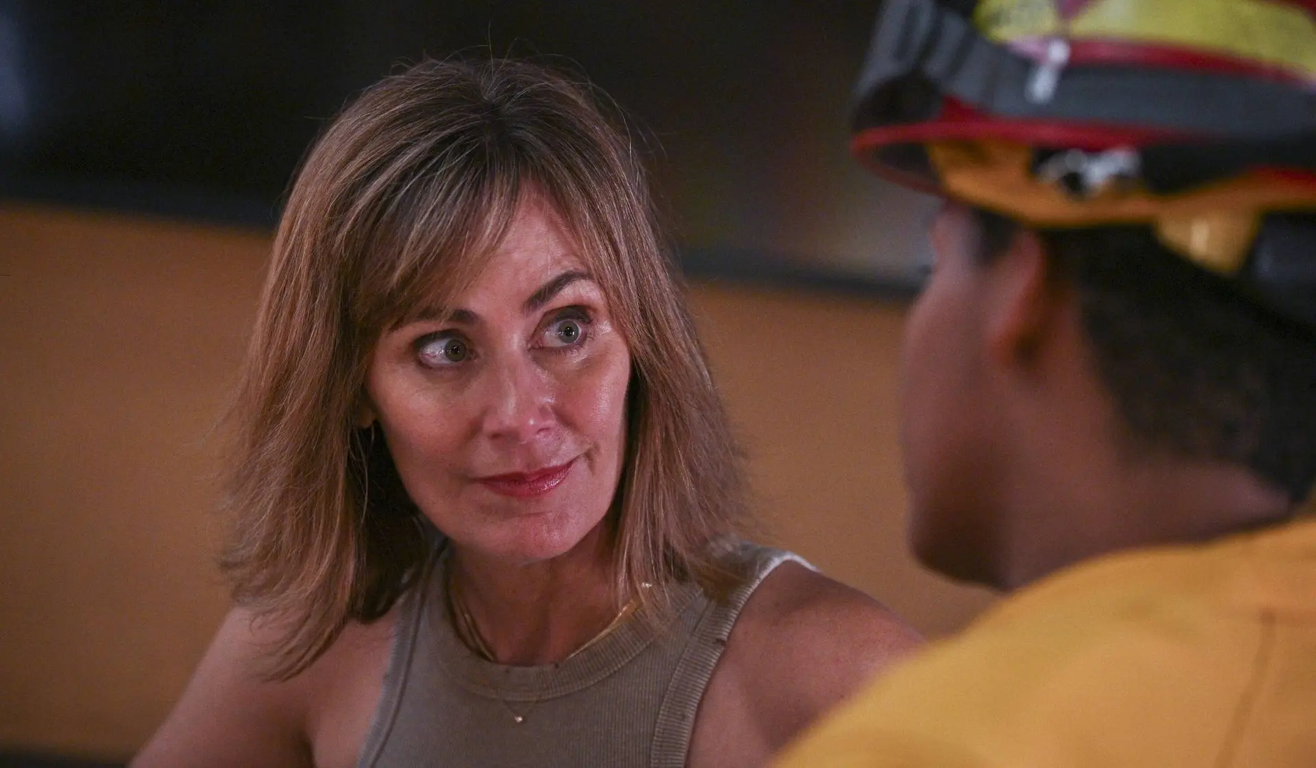 Diane Farr: Age, Height, Wiki, Bio, Net Worth, and Husband | bigwritehook