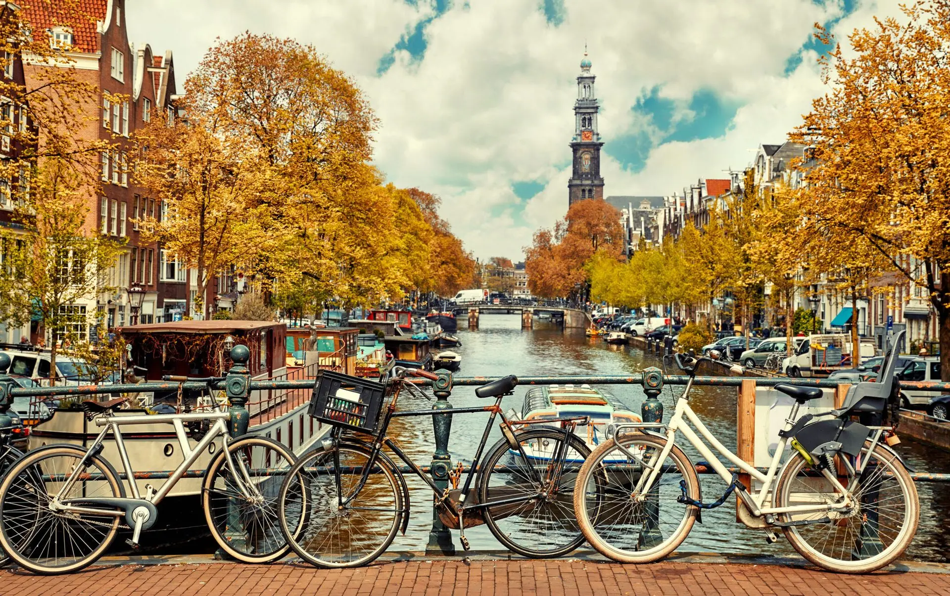 The Green City: Exploring Amsterdam’s Parks and Sustainable Side ...