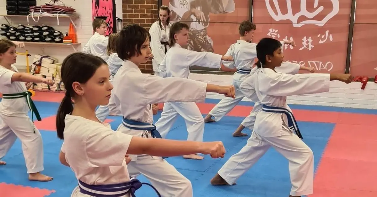 Family Karate Classes: A Fun Activity for All Ages | bigwritehook
