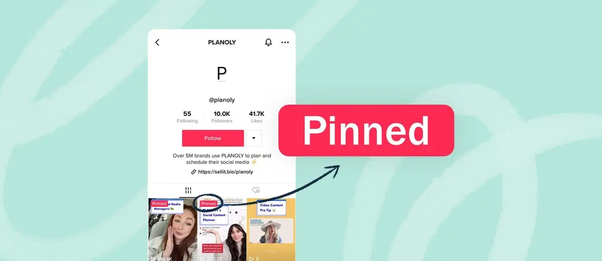 What Does Pinned Mean on TikTok: Complete Guide for Users | bigwritehook