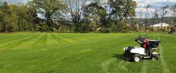 Perrett Lawn Service Lehigh Photos: A Comprehensive Visual Guide to ...