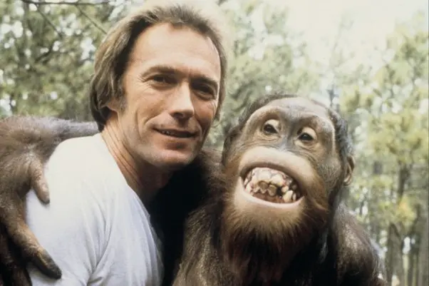 The Fascinating Story Behind Clint Eastwood and Clyde: The Potential ...