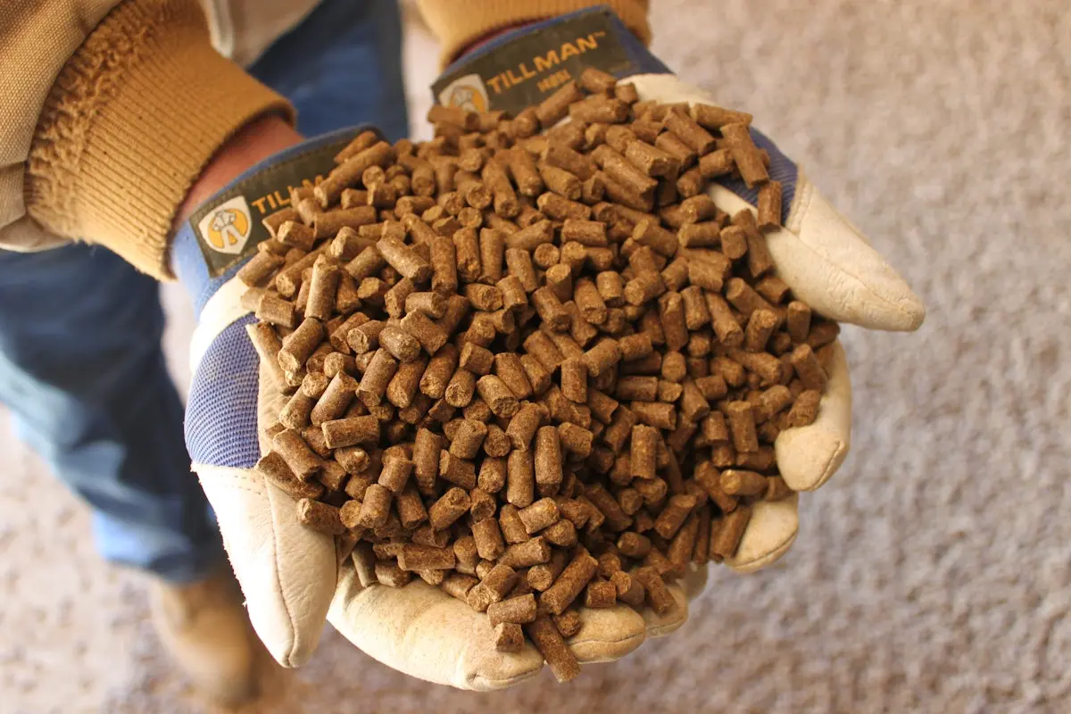 What Does Grain Dust Pellets in Animal Feed: A Comprehensive ...