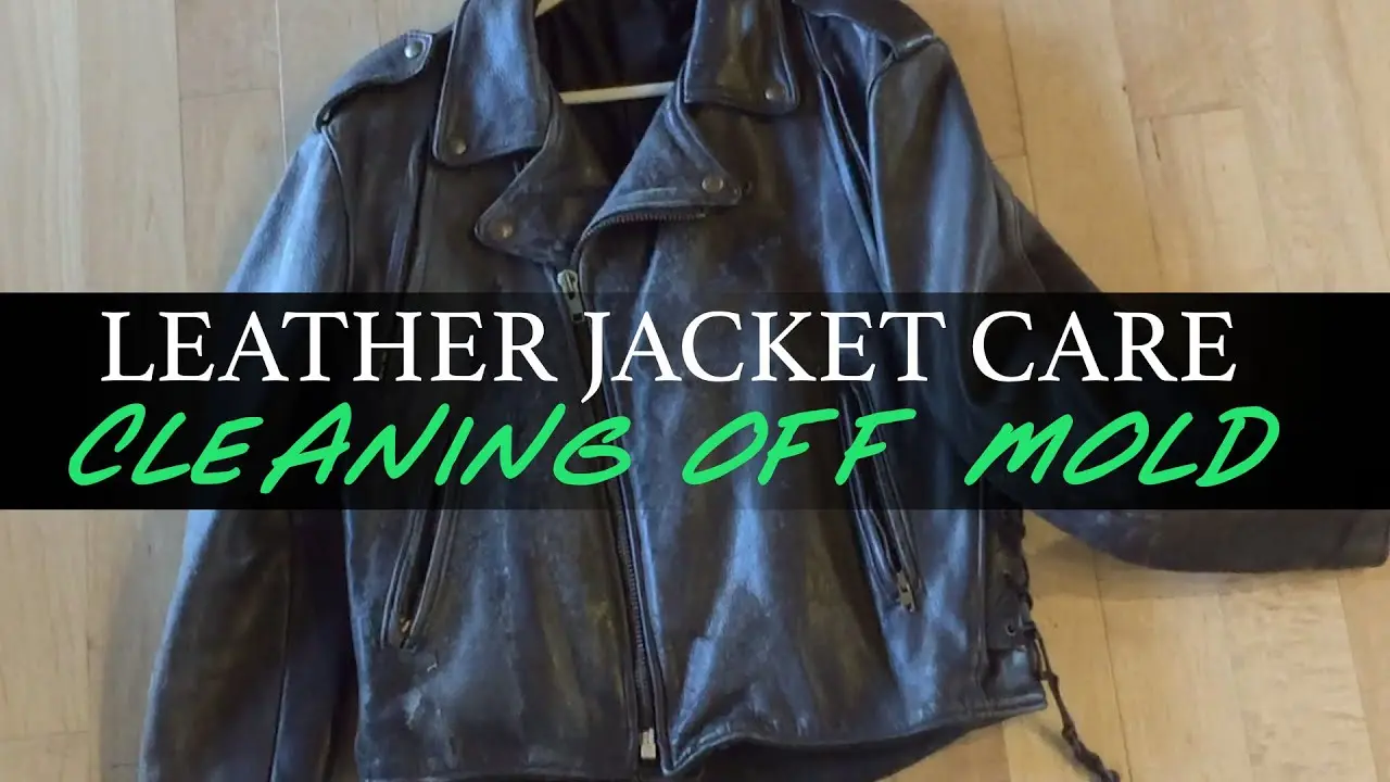 How to Clean Mildew Off Leather Jacket | bigwritehook