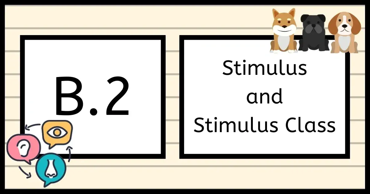 What is Stimulus Class: A Comprehensive Exploration of Learning and ...