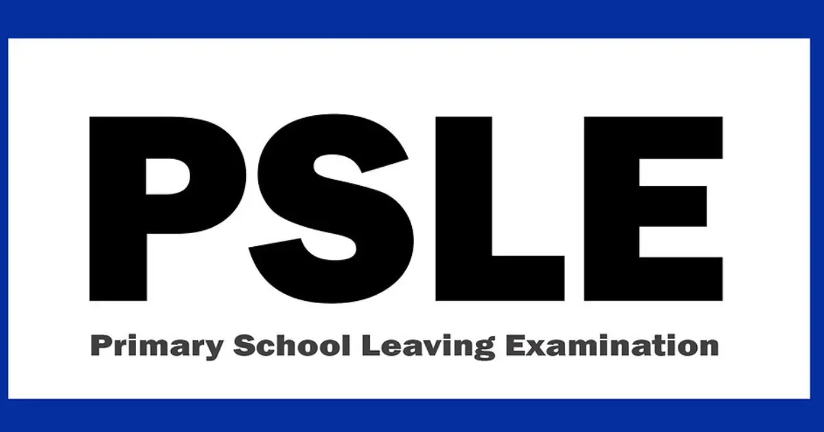 PSLE SG Exam Format: A Complete Breakdown for Parents and Students ...