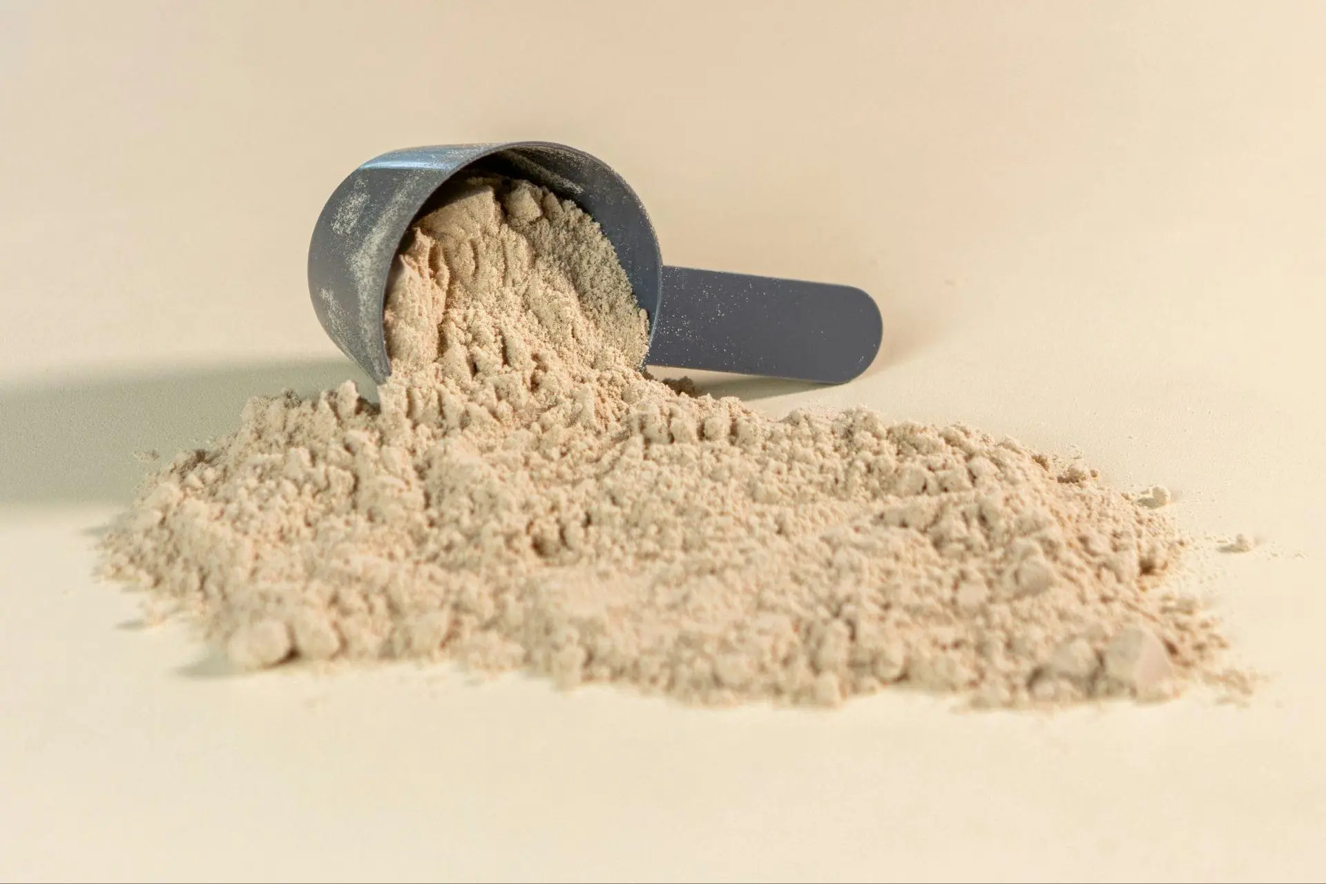 Supplements 101 - Different Protein Powders Explained | bigwritehook