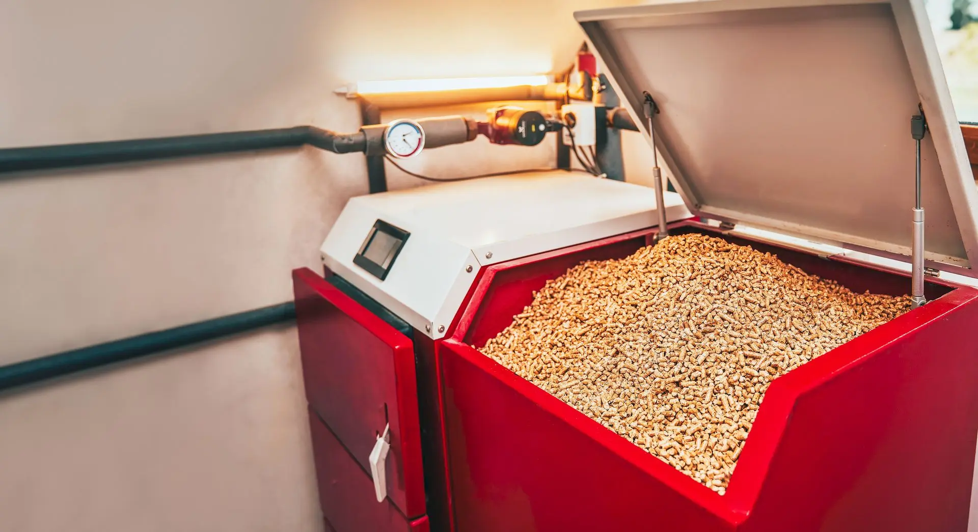 Understanding Biomass Boilers: A Comprehensive Guide | bigwritehook